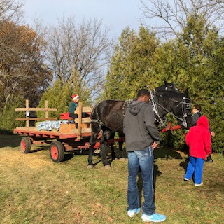 Christmas Ranch Tree Farm | EVENTS