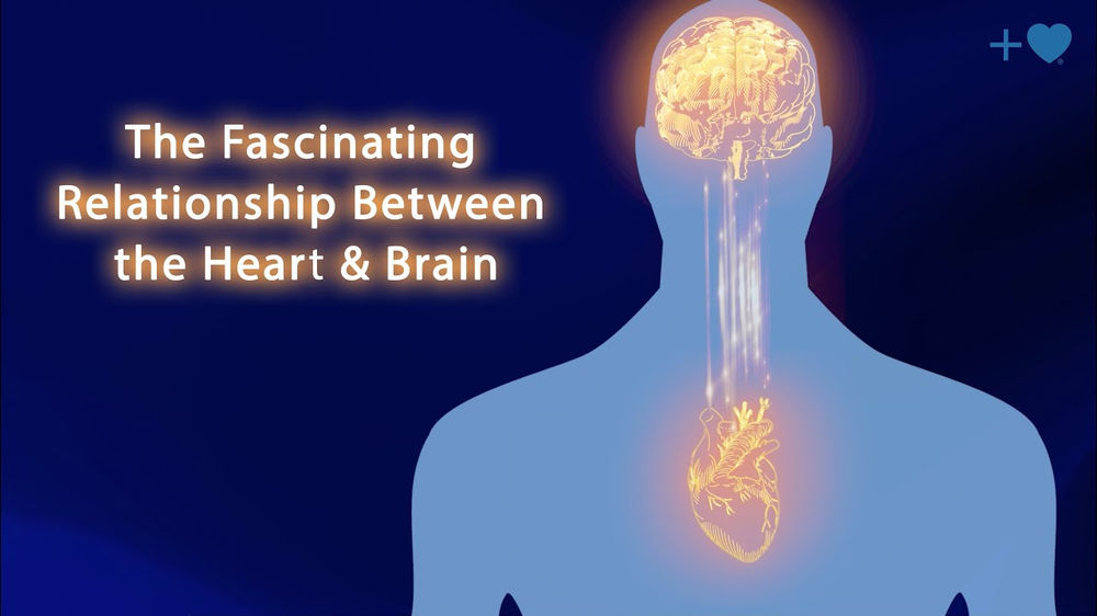 The Fascinating Relationship Between the Heart and Brain | Internal ...