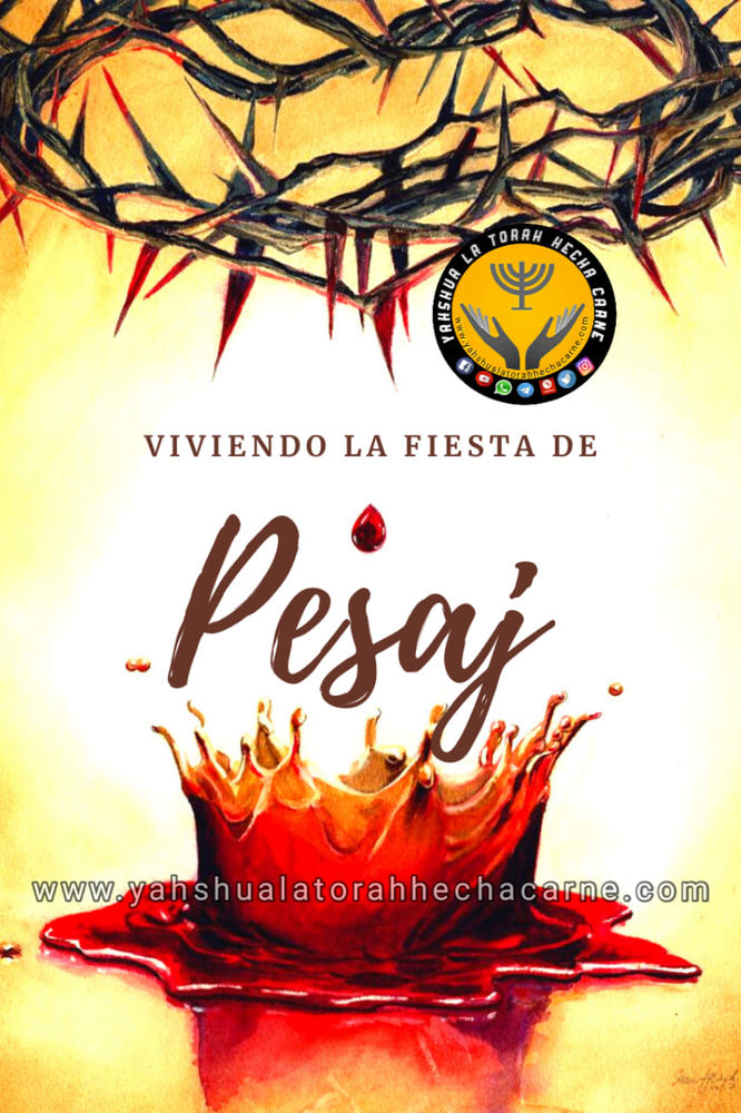 VIVIENDO LA FIESTA DE PESAJ