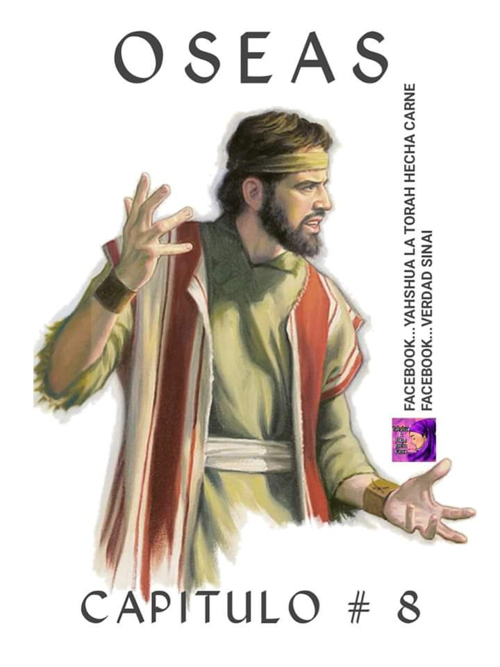 ESTUDIANDO EL LIBRO DE OSEAS CAPITULO # 8
