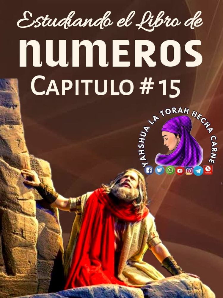 ESTUDIANDO EL LIBRO DE NUMEROS CAPITULO # 15