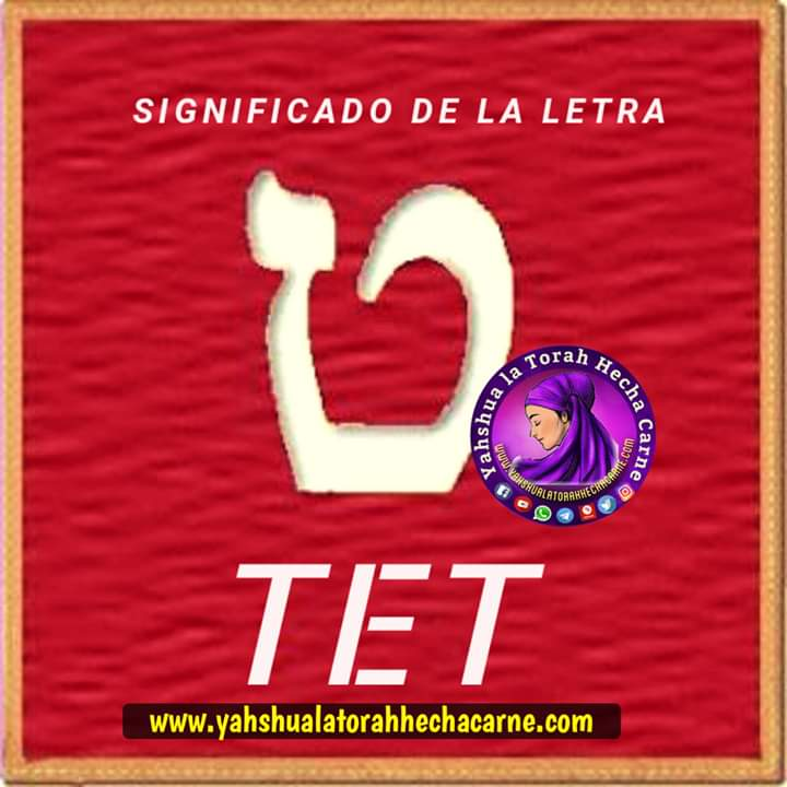 SIGNIFICADO DE LA LETRA TET ט