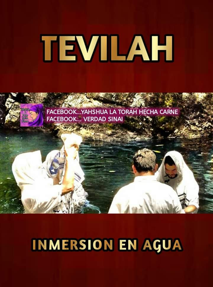 TEVILÁH (INMERSION EN AGUA)