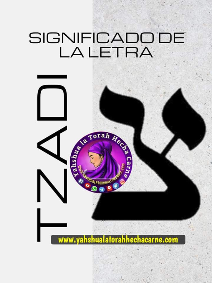SIGNIFICADO DE LA LETRA TZADI צ
