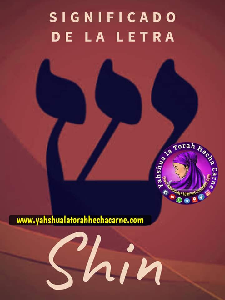 SIGNIFICADO DE LAS LETRAS HEBREAS