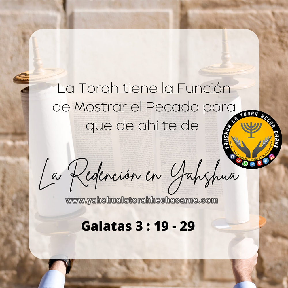 EL PROPOSITO DE LA LEY / TORAH