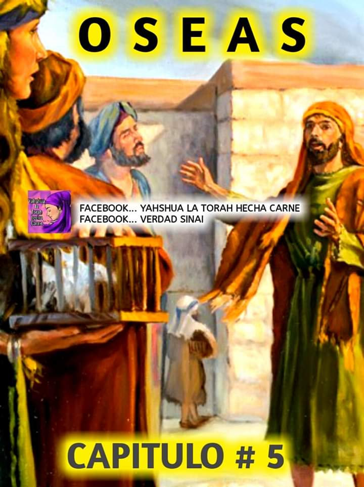 ESTUDIANDO EL LIBRO DE OSEAS CAPITULO # 5
