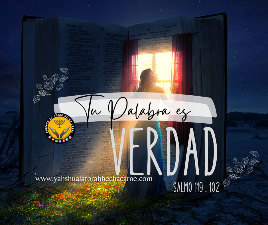 TU PALABRA ES VERDAD ( SALMO 119: 97 – 104 )