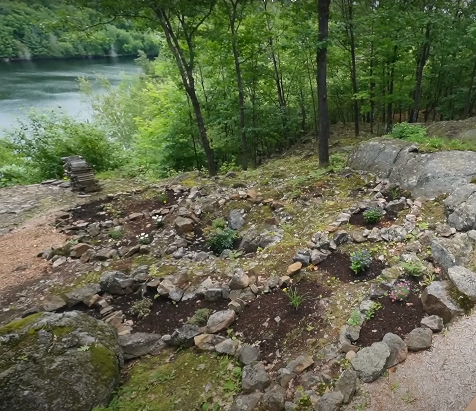 Blog | Angie Bellemare