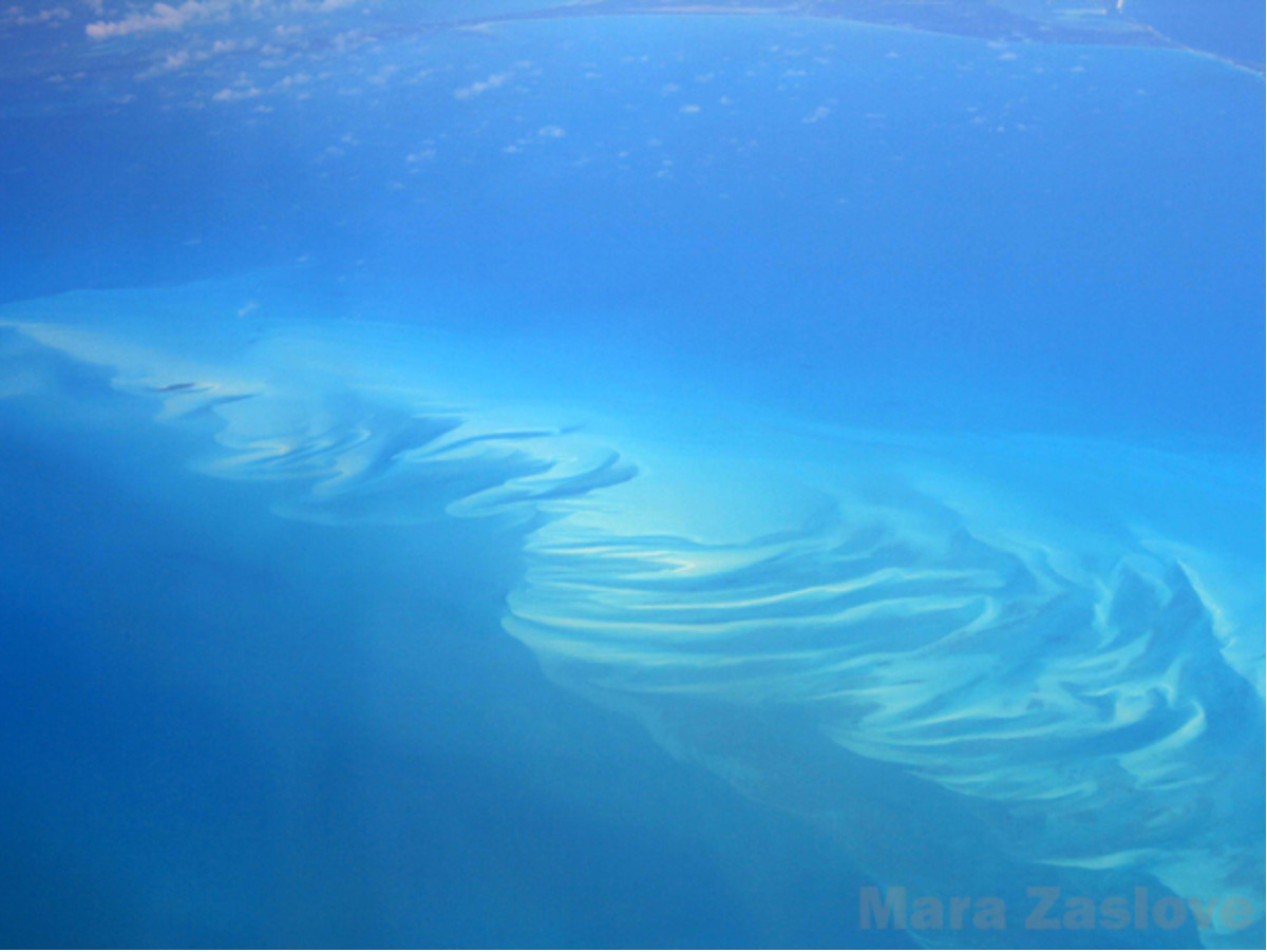 Mara Zaslove | Sand Shoals