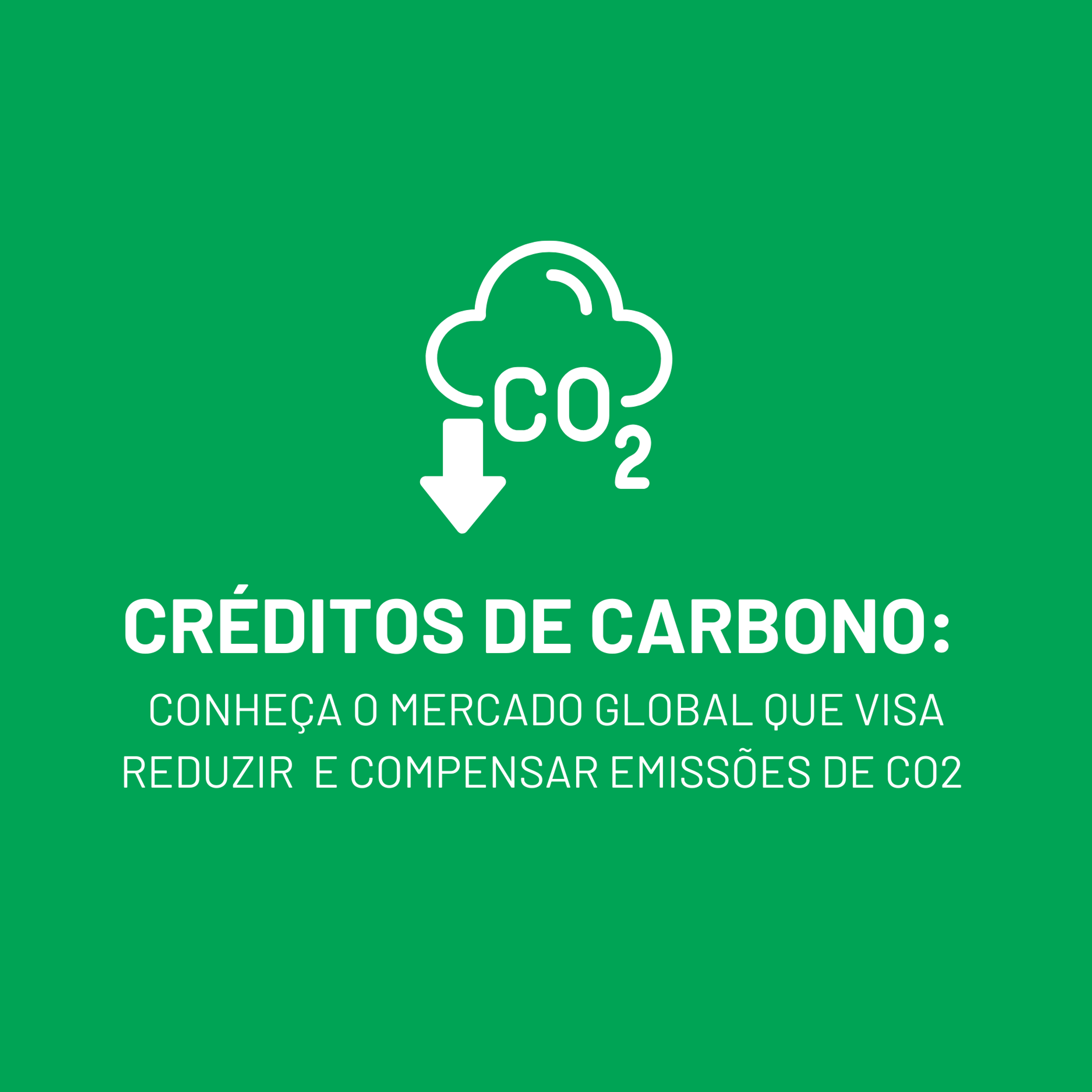 Revista Digital CREA-RS | Edição 147 | Rio Grande do Sul