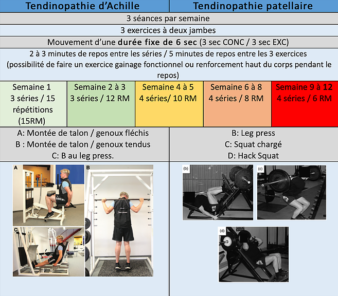 Tendinopathie et Protocole HSR (Heavy Slow Resistance)