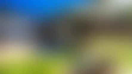 Safety Guides & Articles | Workcore