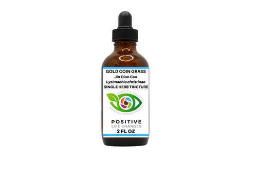 Gold Coin Grass Single Herb Tincture | Positive Life Change