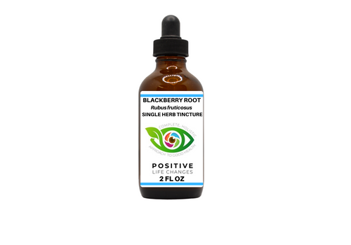 Blackberry Root Single Herb Tincture | Positive Life Change