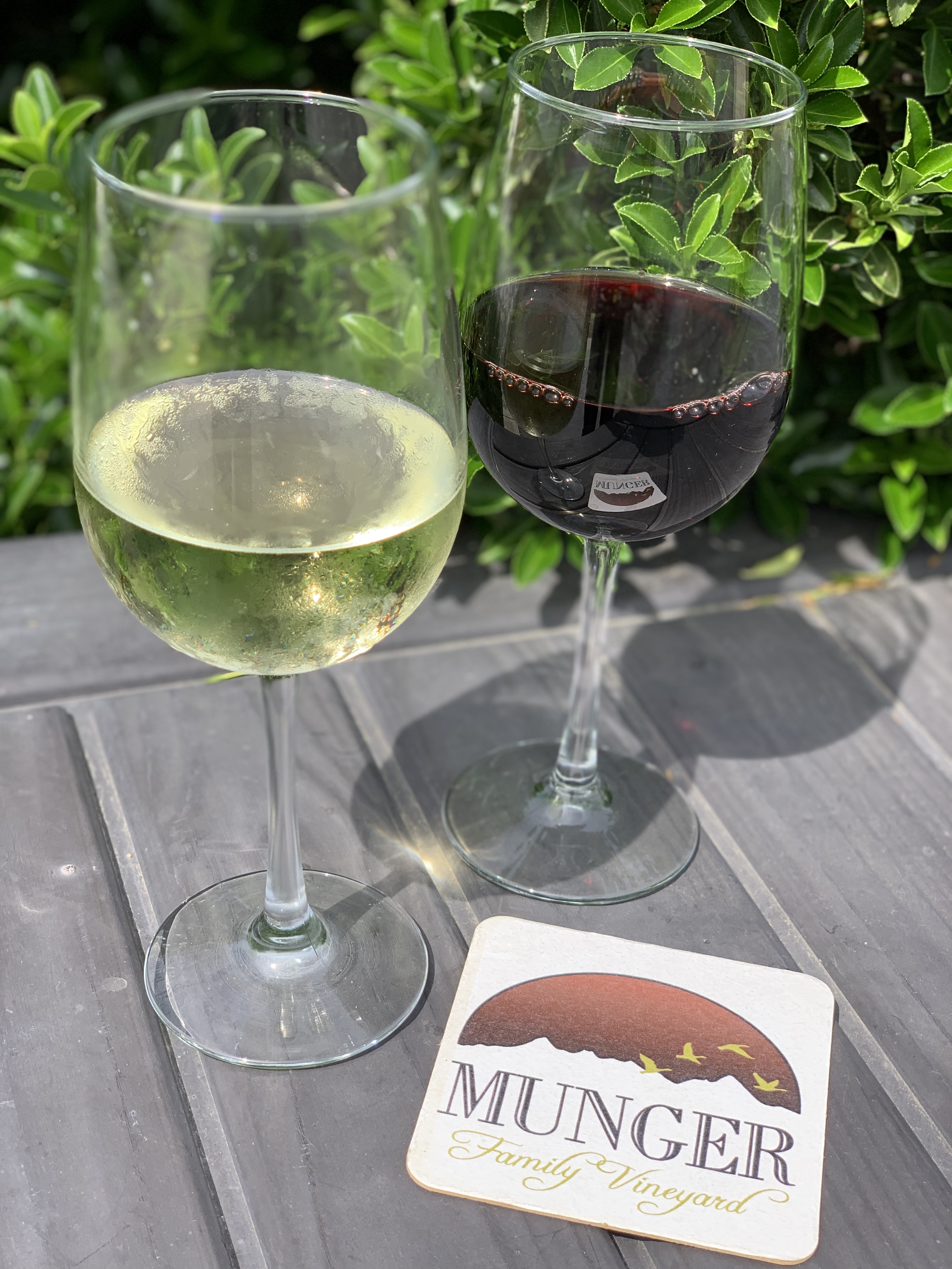 Gallery | Sutter Winery | MungerFamilyVineyard | Wine Taste Sutter