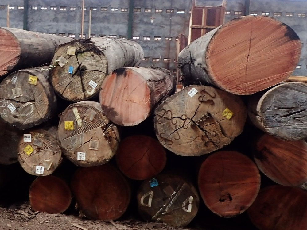 Balau & Chengal | Timber & Wood Supplier Malaysia