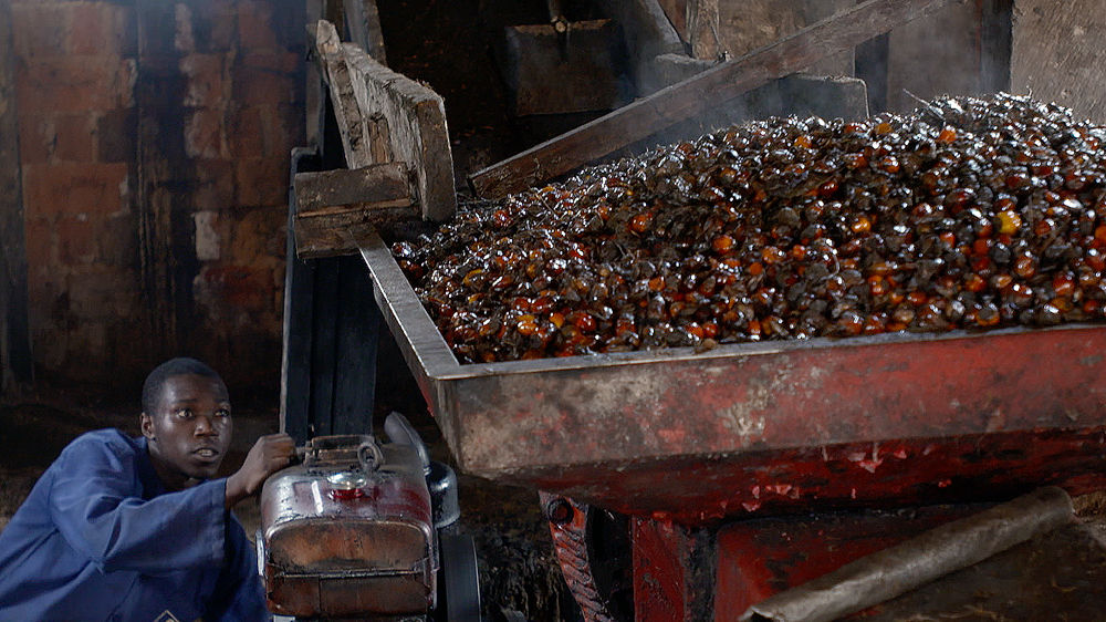 Palm Oil Mill Contractor Malaysia | Factory & Equipment | Engineering