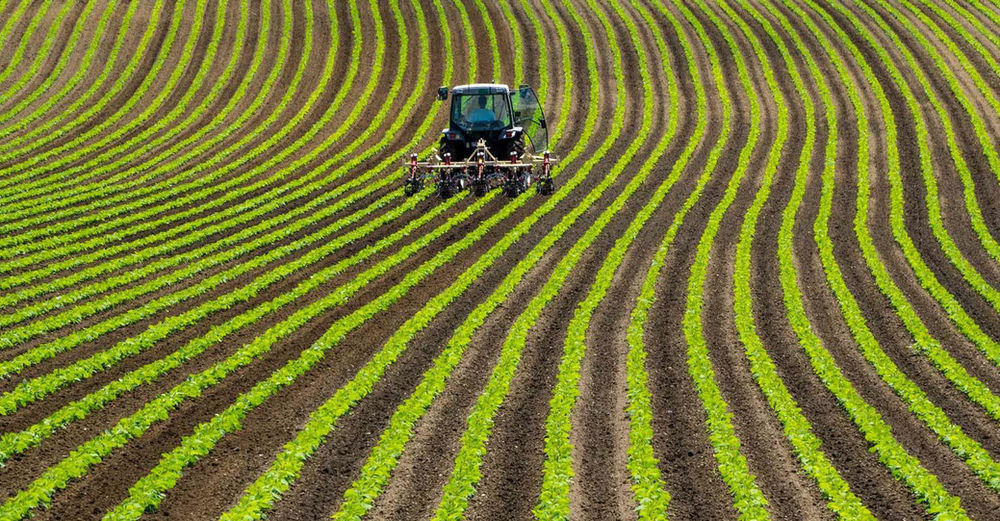 Agricultural Machinery | Plantation Equipment Malaysia