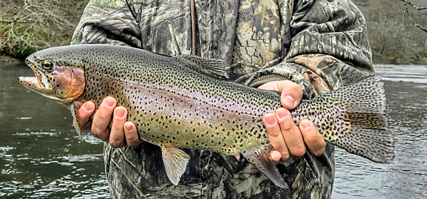 About | Blue Ridge Troutfitters | North Georgia Trout Fishing