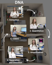 Learn About Forensic Analysis with the SAMFE Virtual Practicum | AFN Site