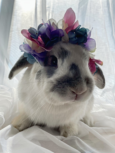 Bunny Flower Crown | The Styled Bouquet