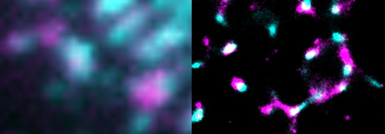 FAN LAB at UCONN HEALTH