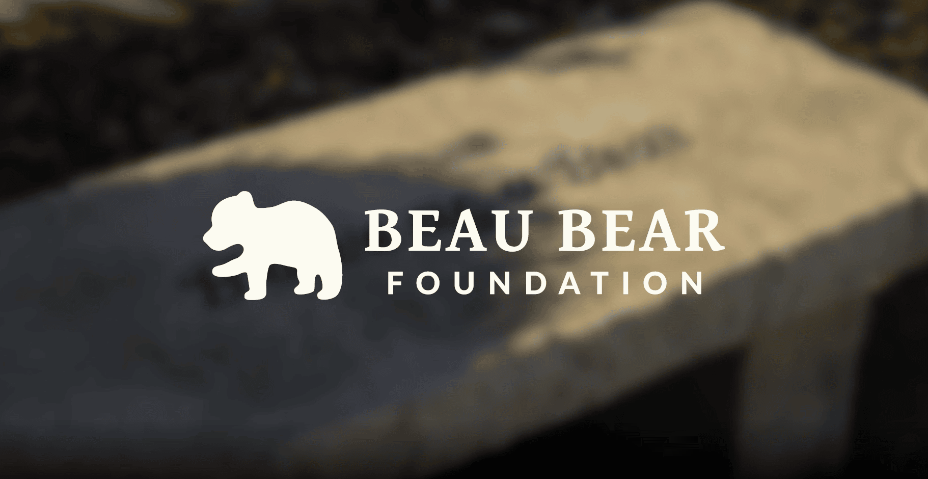 Turning Pain Into Purpose - 2024 Beneficiary Beau Bear Foundation