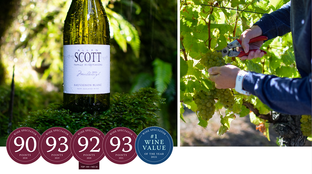 New Zealand’s Allan Scott Family Wine takes top spot in the Wine ...