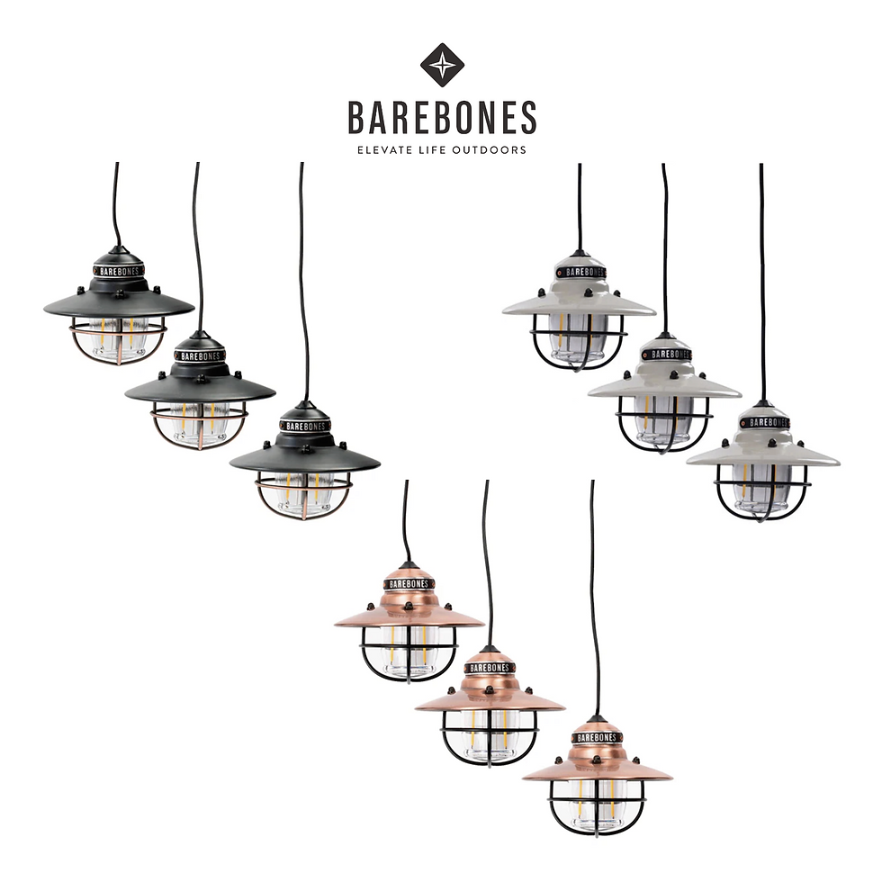 BAREBONES EDISON STRING LIGHTS | CHOPTOP
