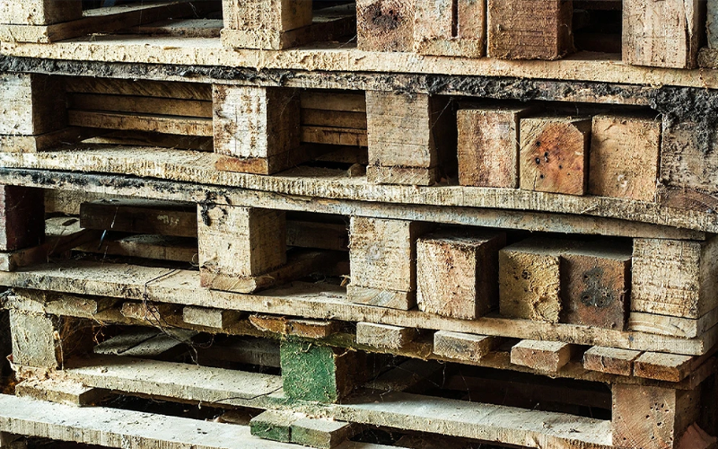 Guide to Mold Inspection on Wooden Pallets