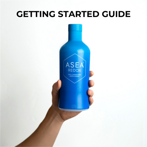 GETTING STARTED GUIDE | Lead From the Front