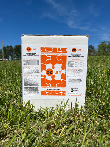 EZium 2 Month Refill | EZium