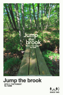 Jump the Brook