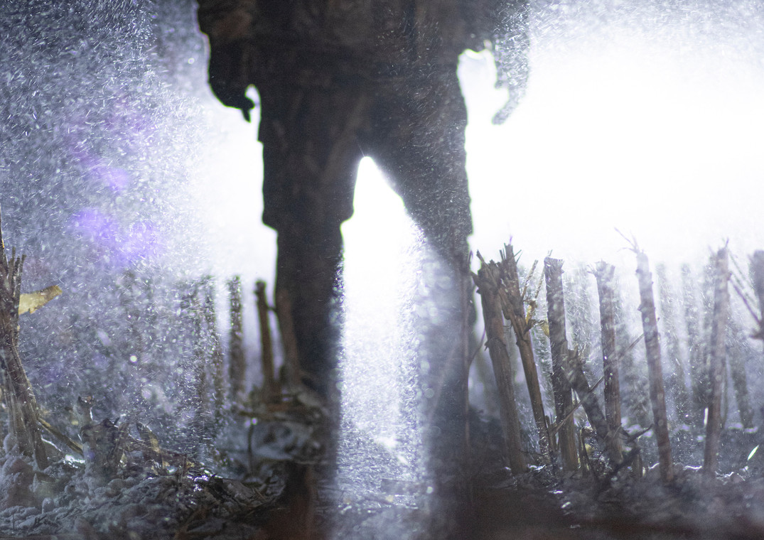 Guided Hunt | Sandhill Flyway | United States