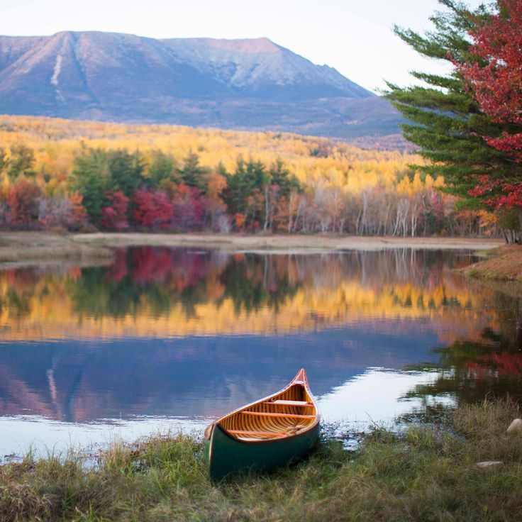 DE WERELD DE RUG TOEKEREN