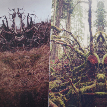 Oracle Cards | Tree Whisper Oracle