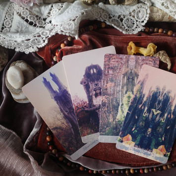 Oracle Cards | Tree Whisper Oracle