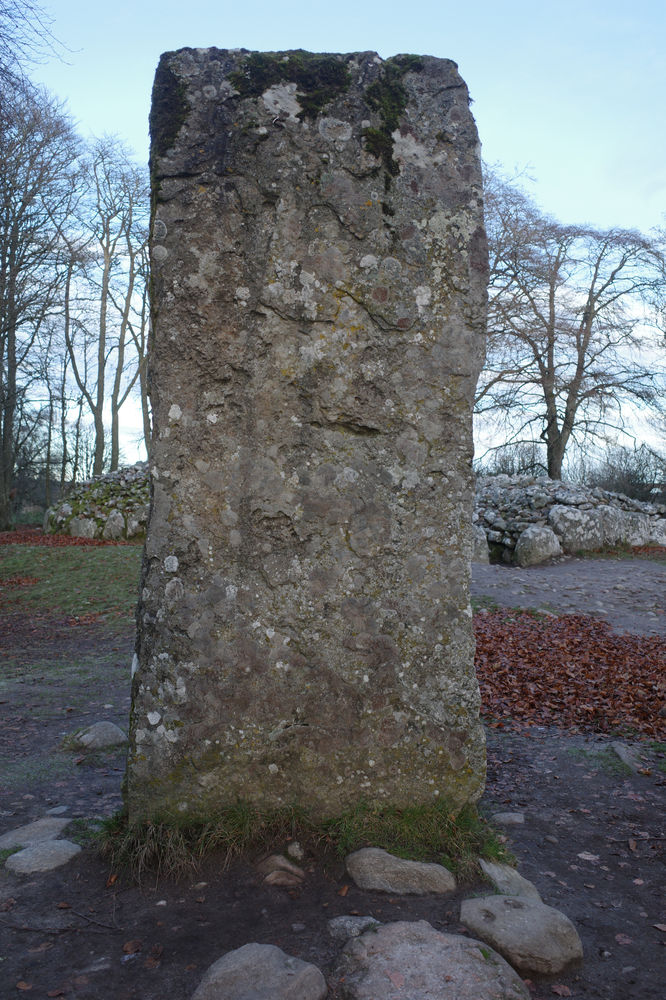 Sacred Sites | Tree Whisper Oracle