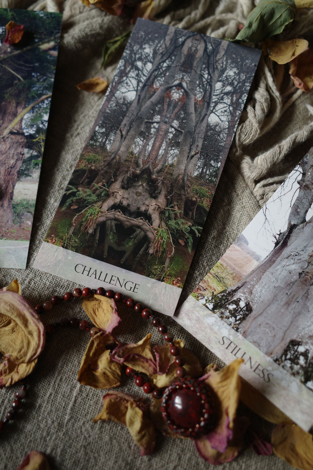 The Council Of Trees | Tree Whisper Oracle