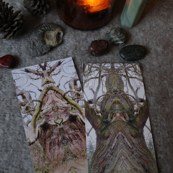 Oracle Cards | Tree Whisper Oracle