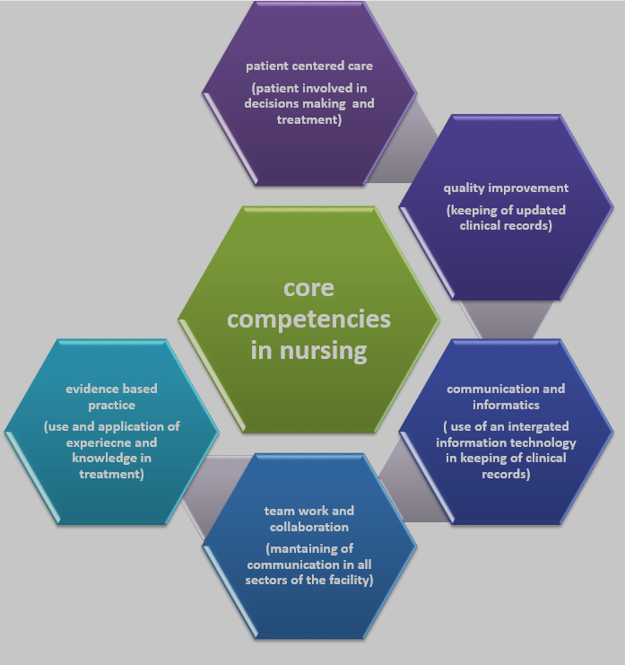 Nursing:Core Competencies for a New Vision for Health