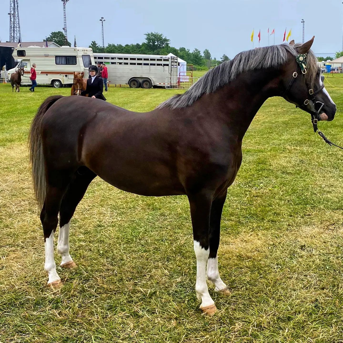 *Eyarth Diego | LIONSGATE FARM