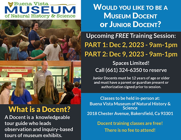 Volunteer | Buena Vista Museum of Natural History & Science