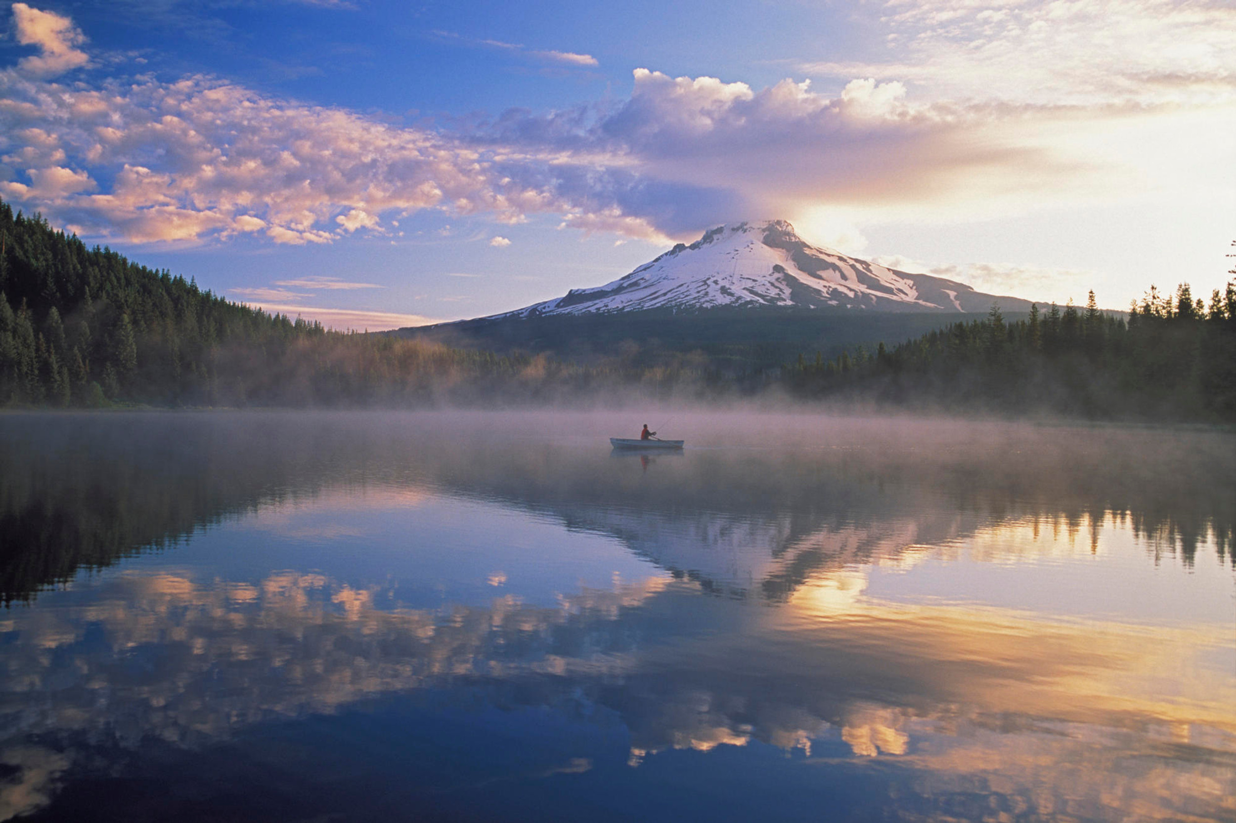 Oregon DUII Attorney | Braunstein Law | Oregon Criminal Defense Attorney