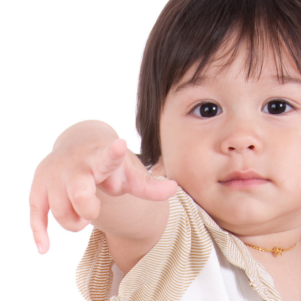 The Importance of Pointing