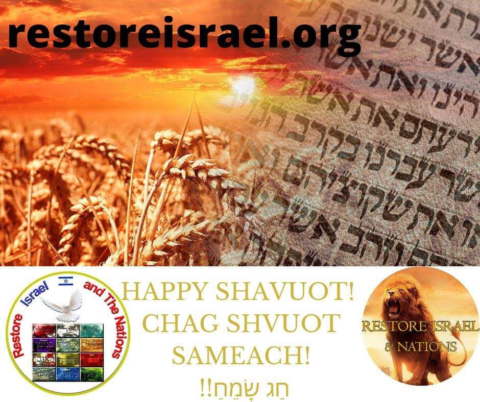 News | Elihana Elia - אליחנה אליה