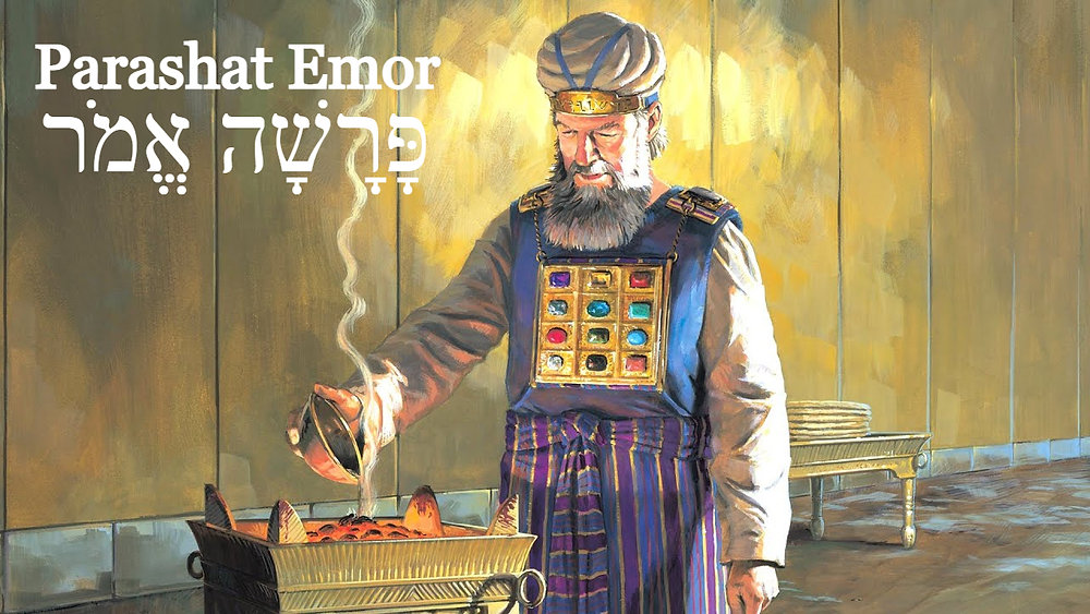 May 17, 2025: Torah Portion Parashat Emor - "Say, Speak!"