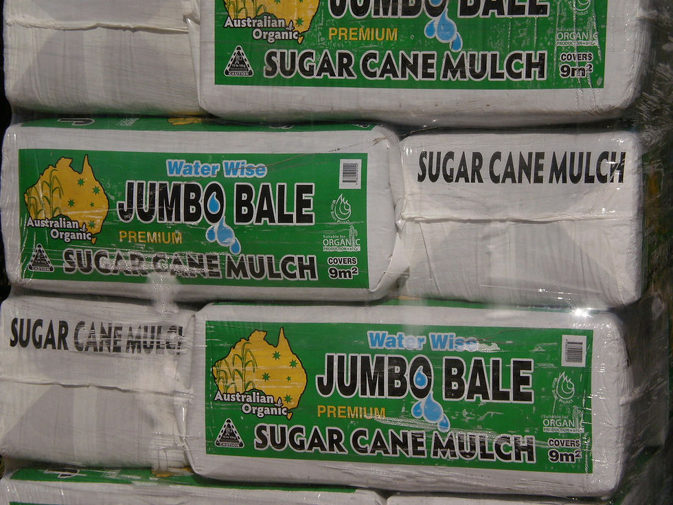 Jumbo Sugar Cane Bales | supplies