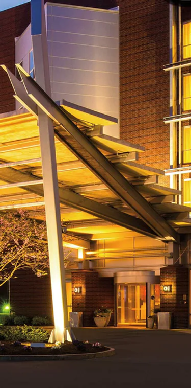 horton electrical solutions